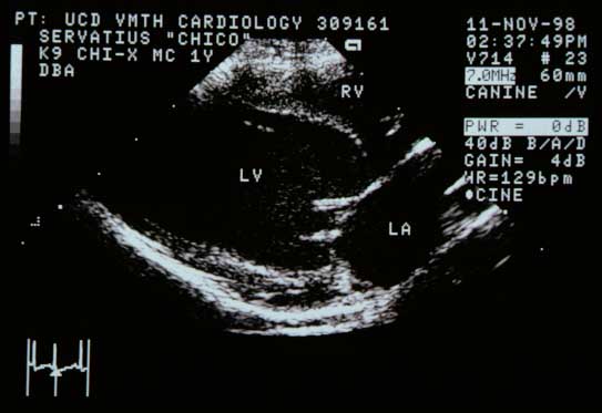 A. Zarate General Hospital Website